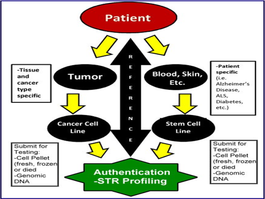 Neuromics Products Page