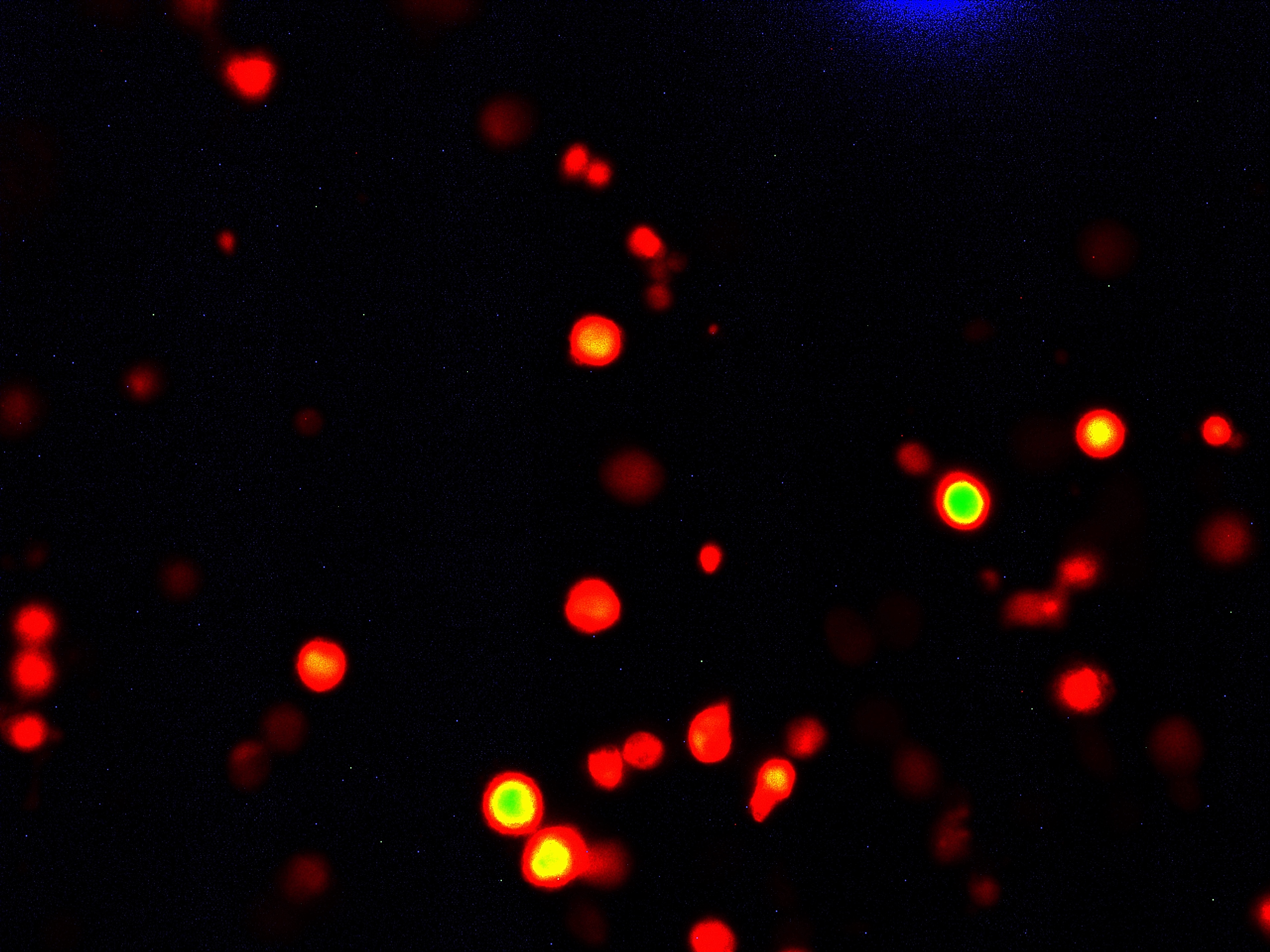 Fetal Bovine Serum (FBS) Data